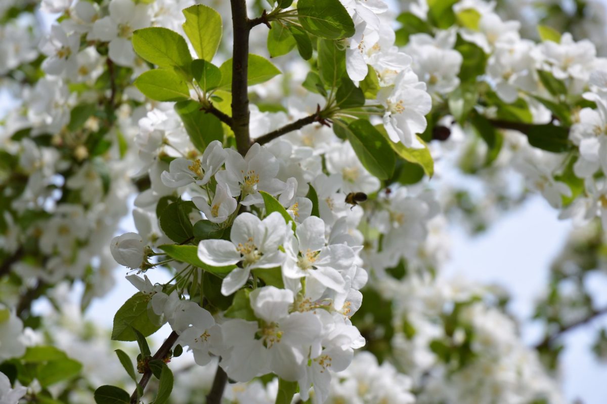 7 LOOKS FÜR 7 TAGE - Outfitinspirationen im April - Martina Berg - Lady ...